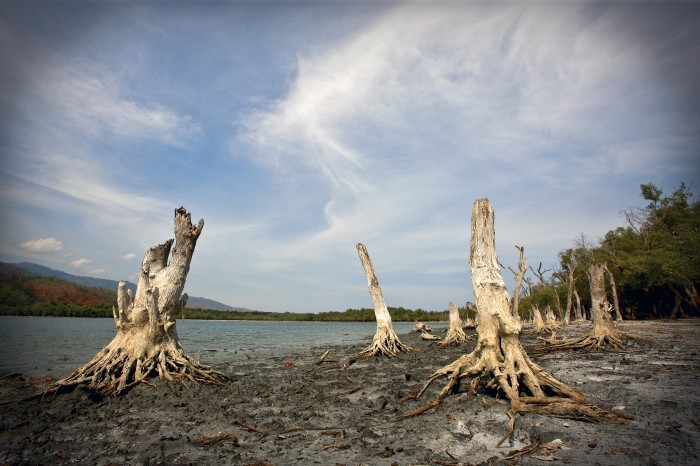 Maubara Lake, Timor-Leste - DARA